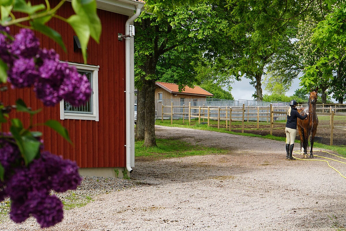 Bli inspirerad! Referensexempel: Stall, Värnamo - BORGA